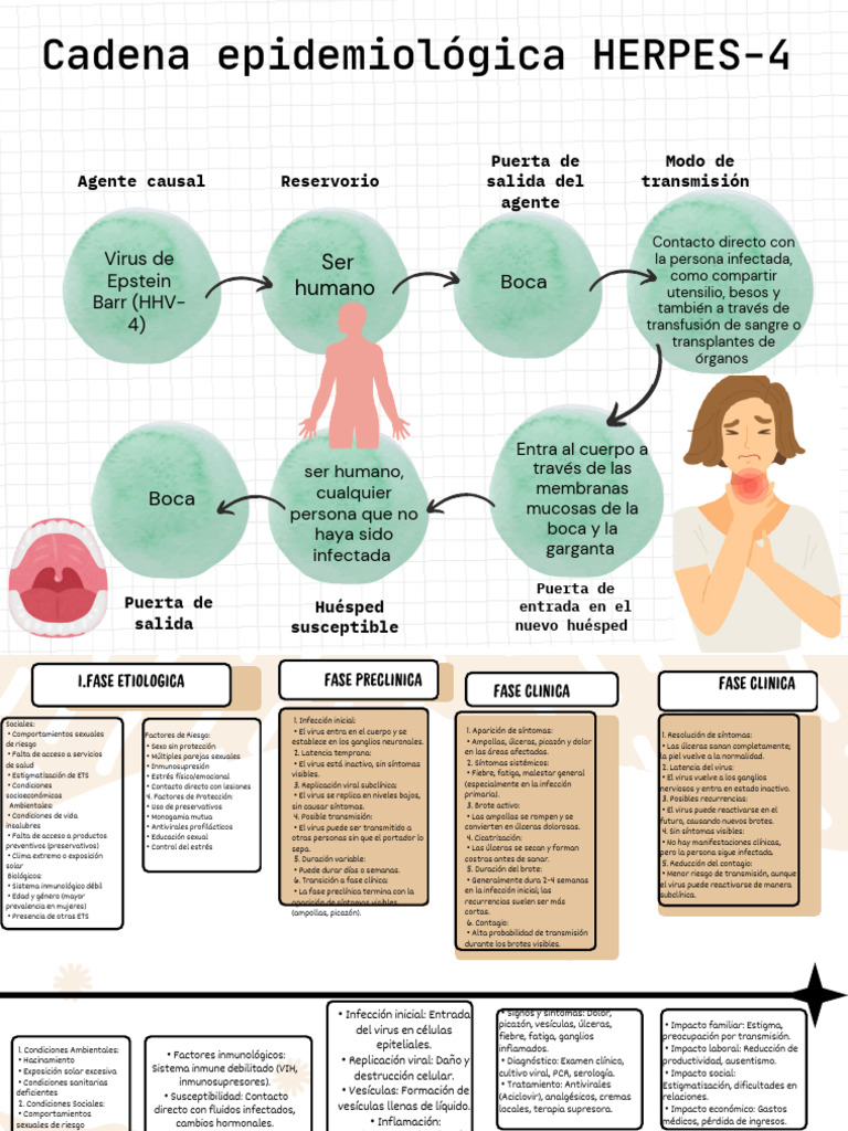 Aquatic Food Chain Activity Science Graphic Organizer in White Light ...