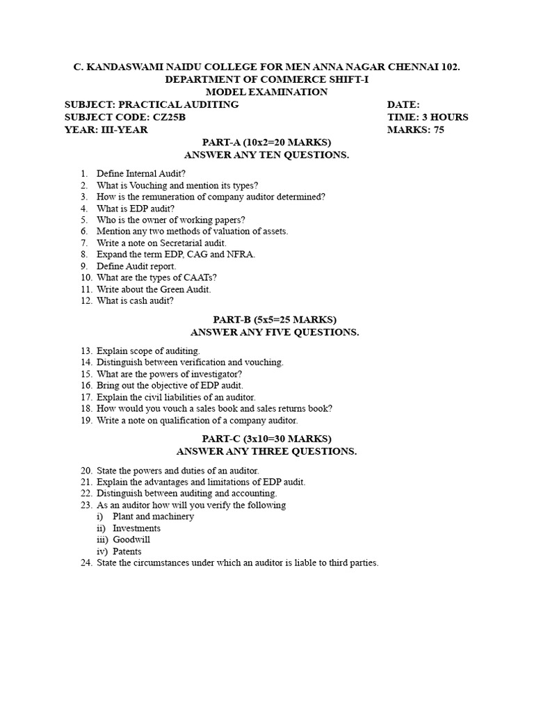 Pratical Auditing Model 2024 | PDF