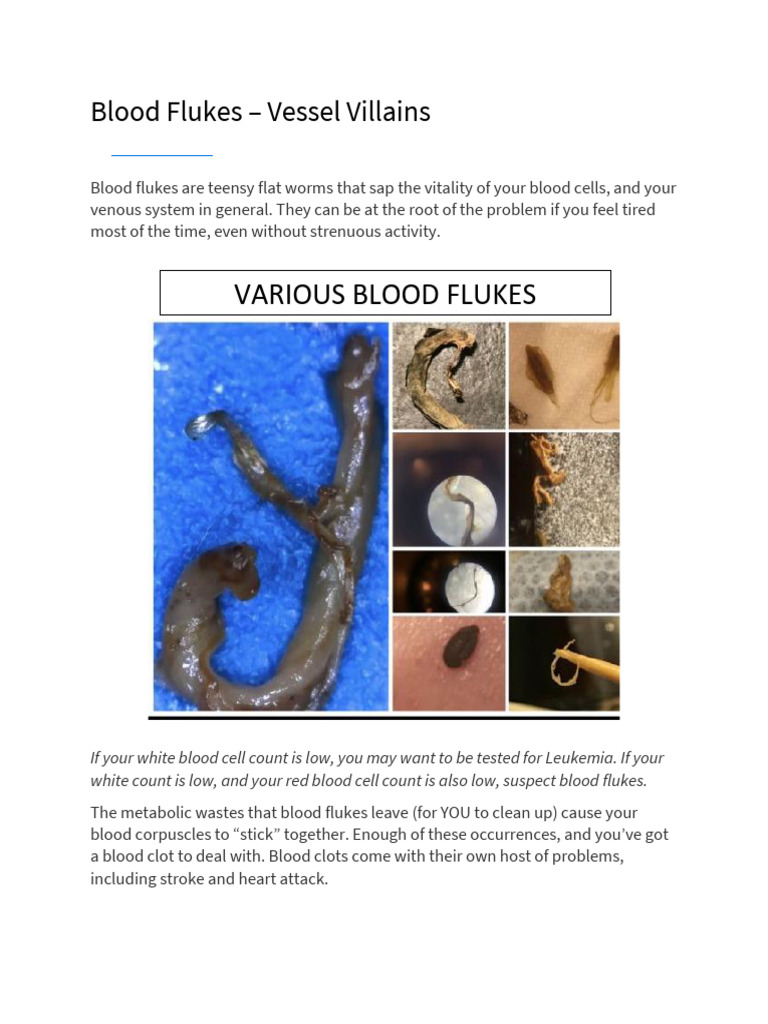 Blood Flukes | PDF