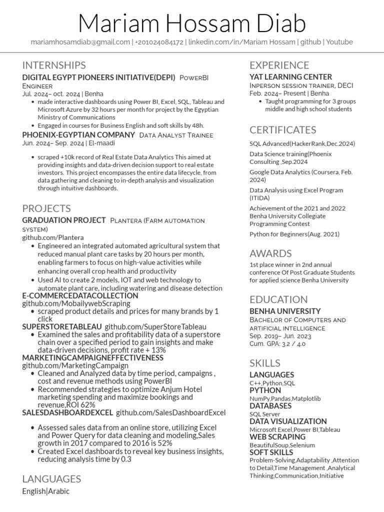 Mariam Hossam Data Analyst | PDF | Information Technology Management | Computing