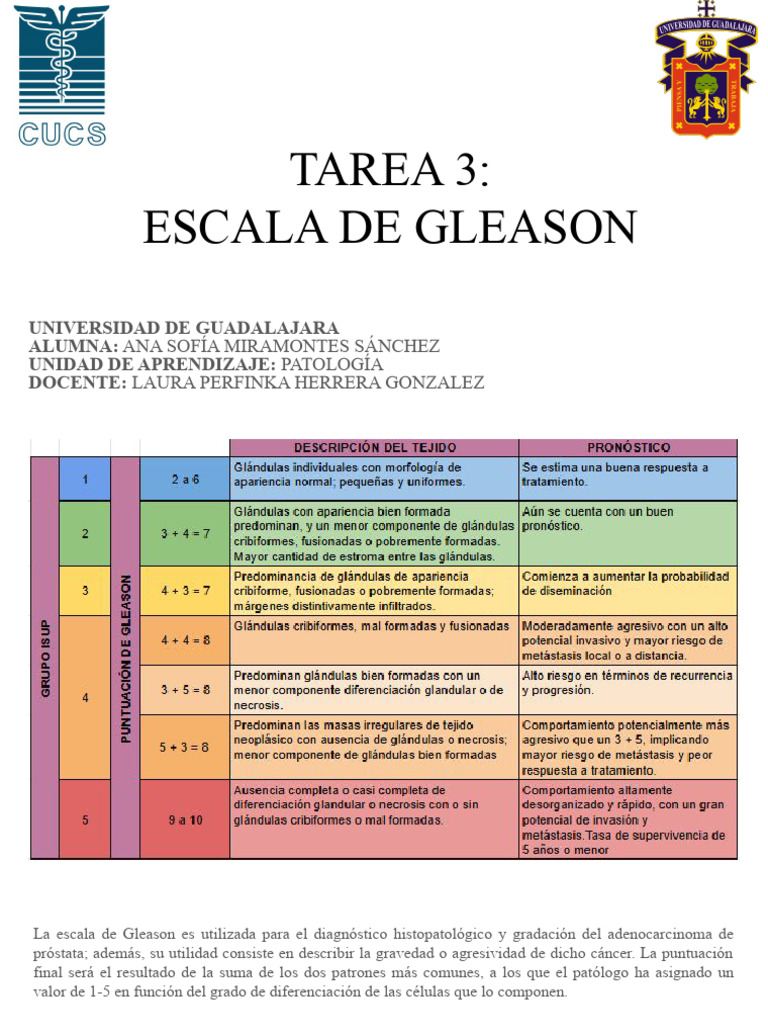 Escala de Gleason | PDF