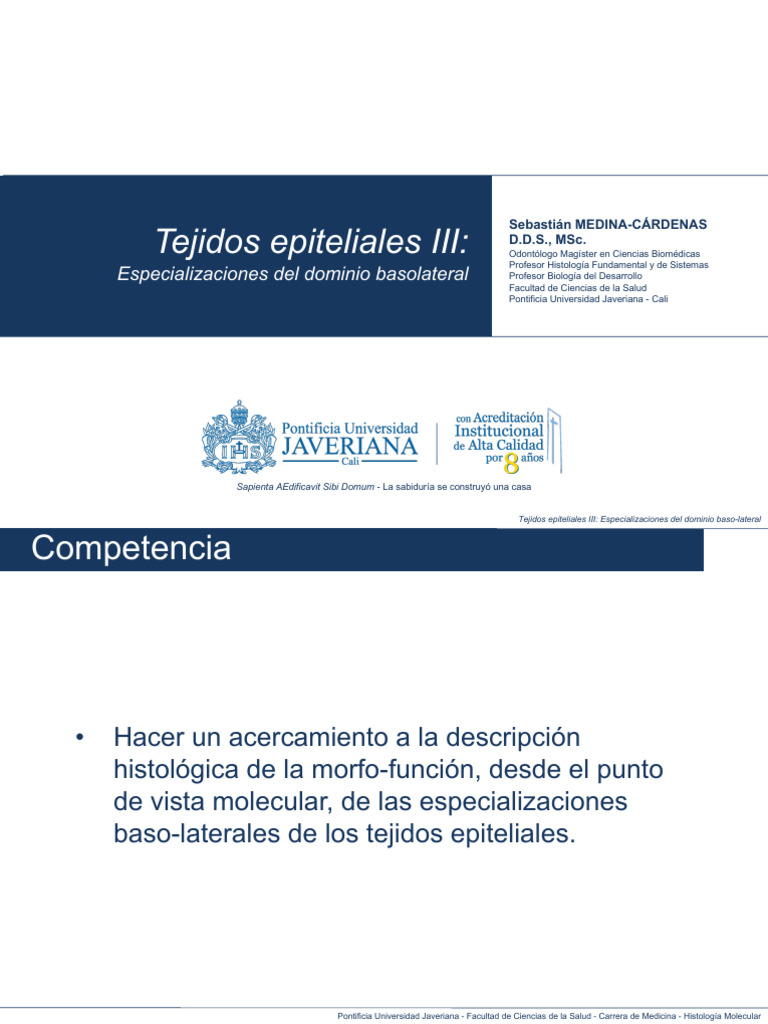 Especializaciones Basolaterales Epiteliales | PDF | Adhesión celular ...