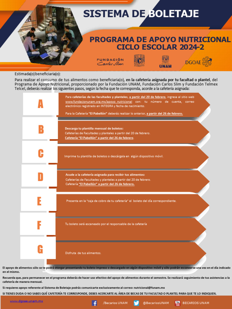 INFOGRAFIA-PASOS-BOLETAJE-PAN-2024-2 | PDF