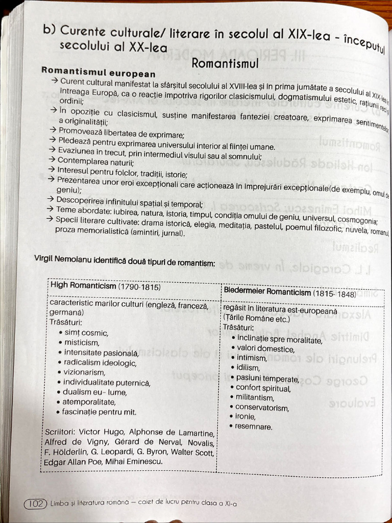 Lapusneanu - Fisa Exercitii XIB 2025 | PDF