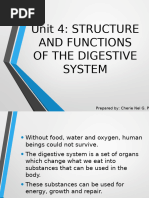 Digestive System Grade 8 Lecture | PDF | Digestion | Stomach