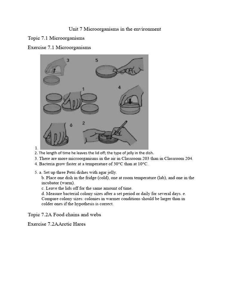 7. Microorganisms in the environment | PDF | Mold | Food Web