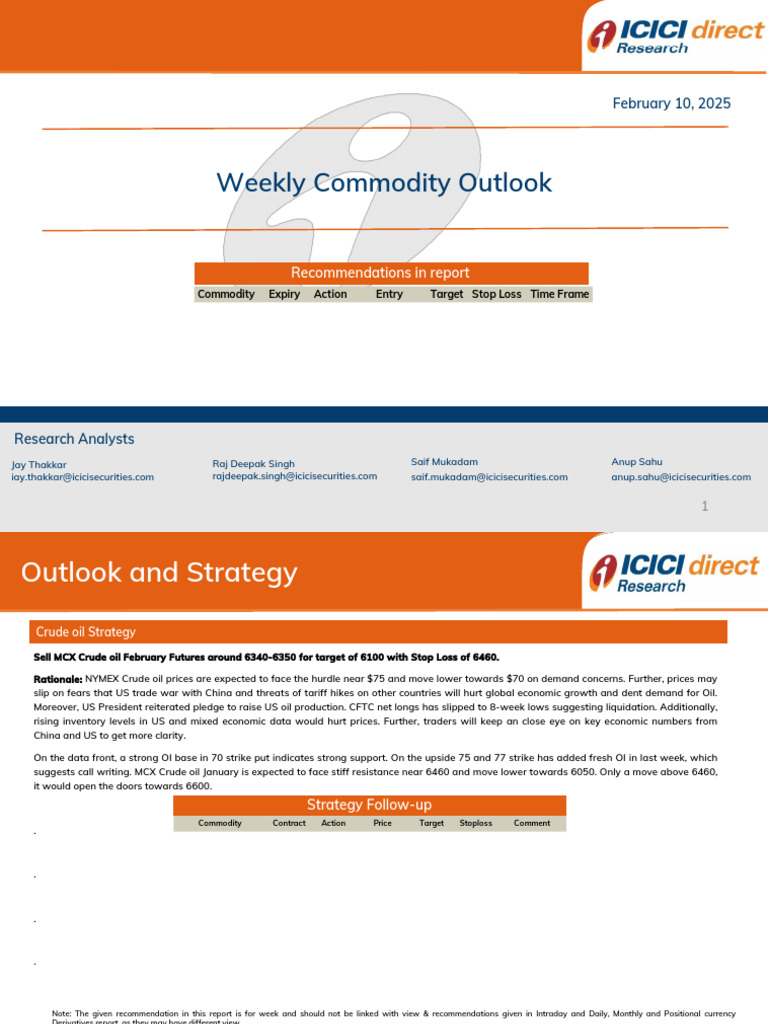 Weekly Commodity Outlook - February 2025 | PDF | Securities (Finance ...