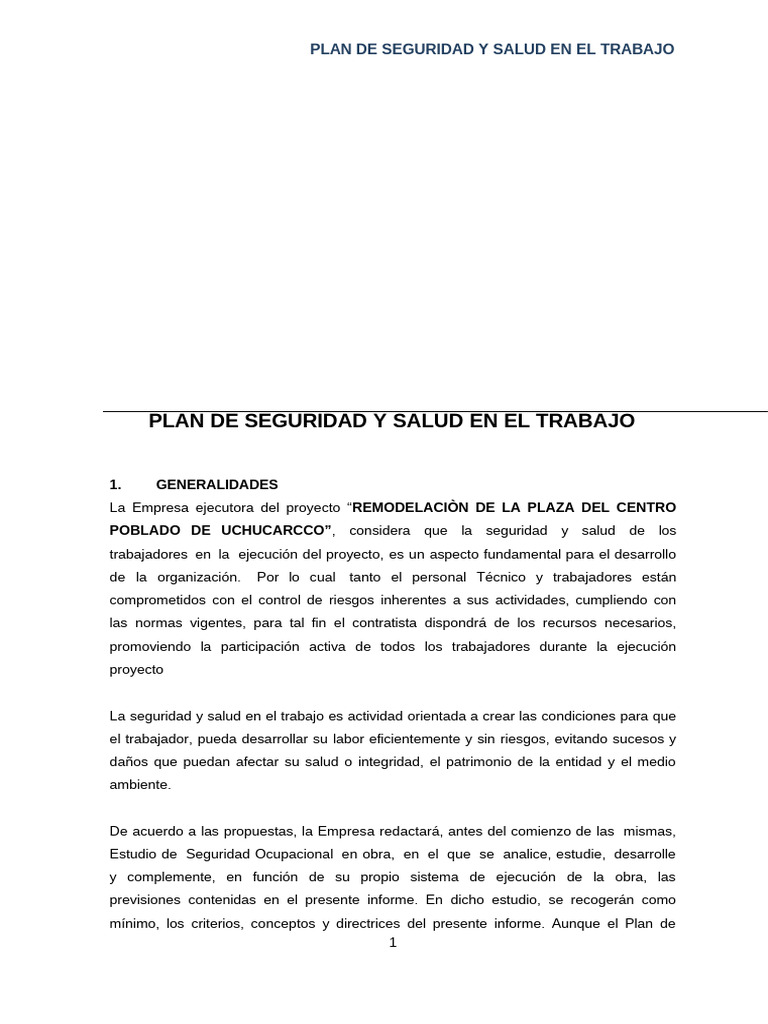 PLAN DE SEGURIDAD Y SALUD EN EL TRABAJO C.S.1 | PDF | Seguridad y salud ocupacional | Planificación