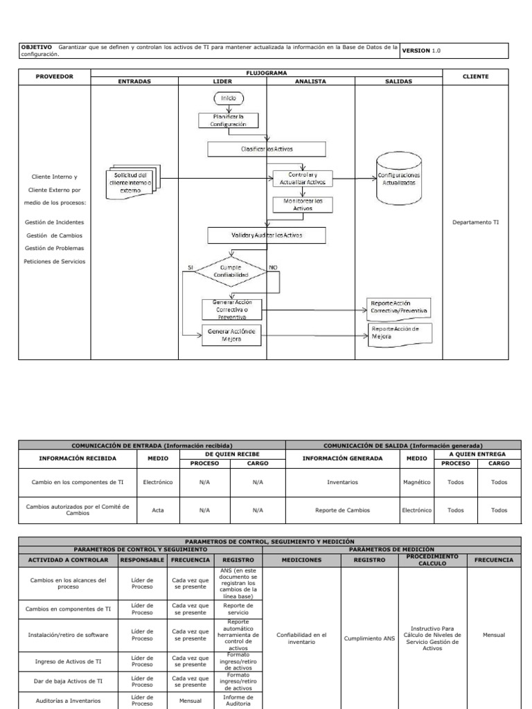 Proceso y Proced Gestion Activos | PDF | Auditoría | Software