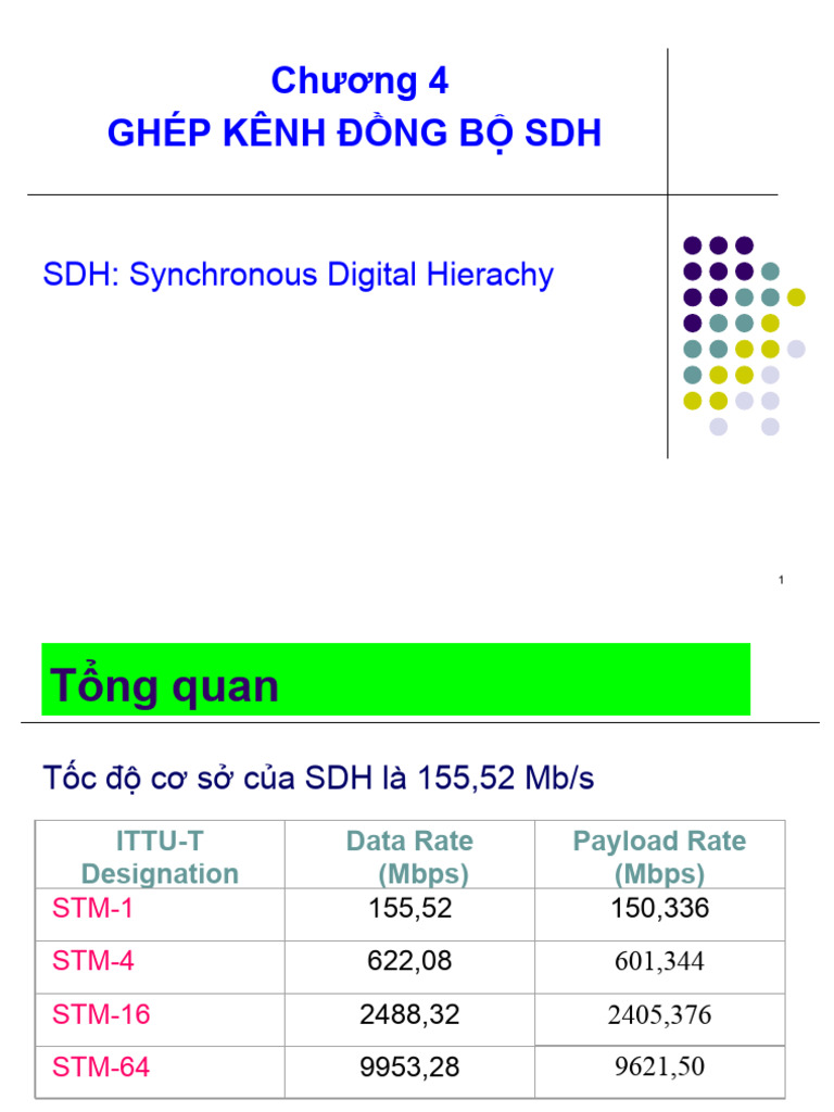 SDH Co BT | PDF