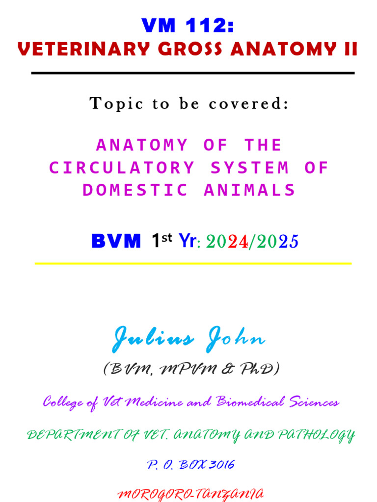 VM 112 BVM 1st Circulatory System 2024-2025 Final | PDF | Heart Valve | Ventricle (Heart)