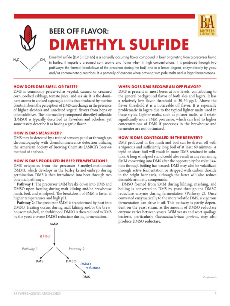 Understanding Dimethyl Sulfide in Beer | PDF | Brewing | Beer