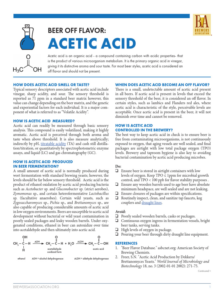BAtech22 Acetic Acid One Pager 201 | PDF | Taste | Beer