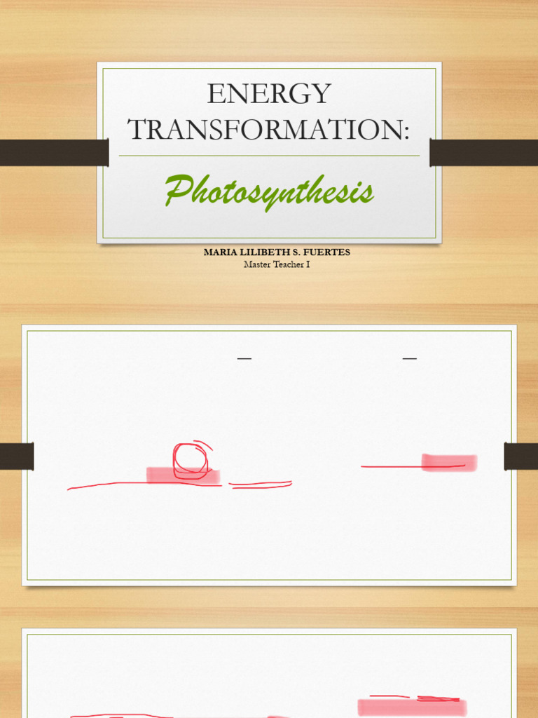 Energy Transformation. Photosynthesis Overview | PDF | Photosynthesis ...