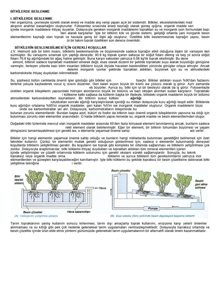 6.bi̇tki̇lerde Beslenme-Büyüme Ve Hareket | PDF