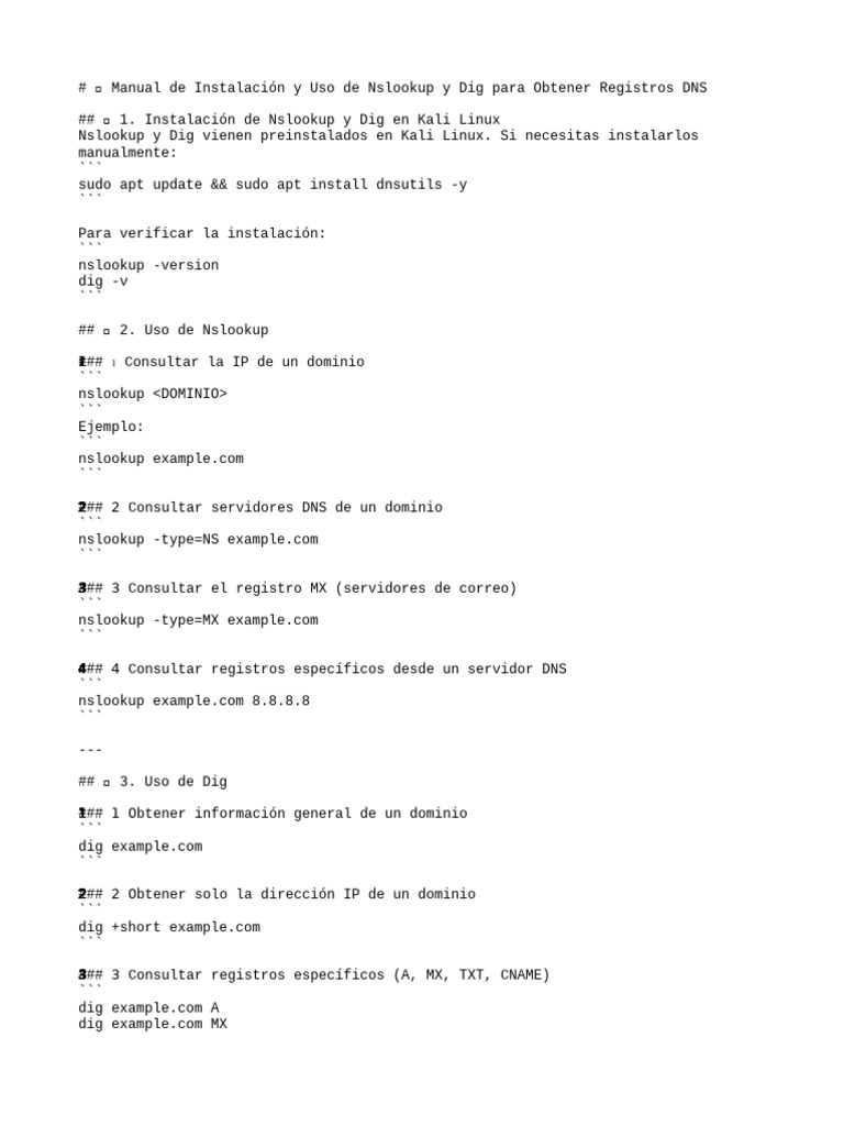 Manual Nslookup Dig | PDF