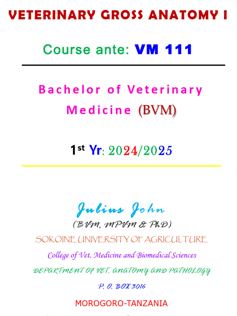 Veterinary Gross Anatomy Course Overview | PDF | Vertebra | Vertebral ...