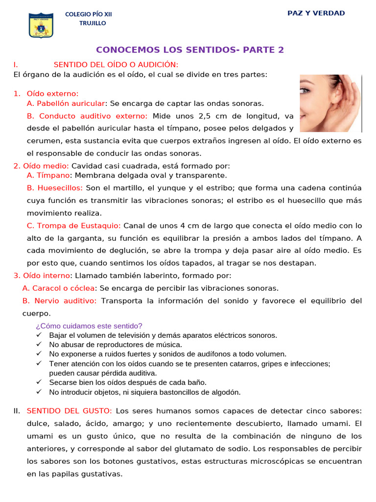 Cuidado de los Sentidos: Oído, Gusto y Olfato | PDF | Oído | Escuchando
