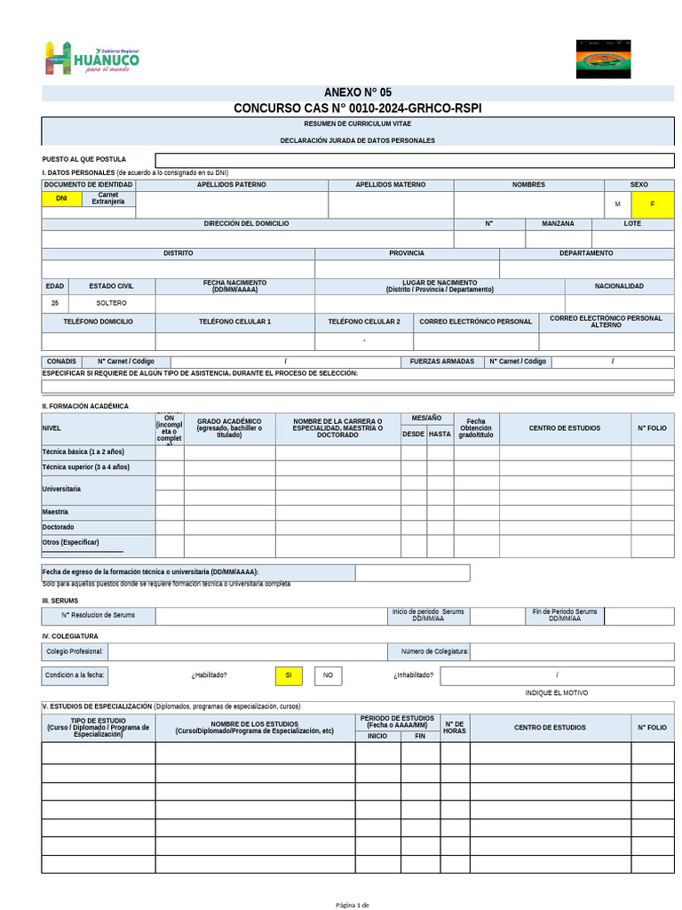 Resumen de CV para Concurso CAS 2024 | PDF
