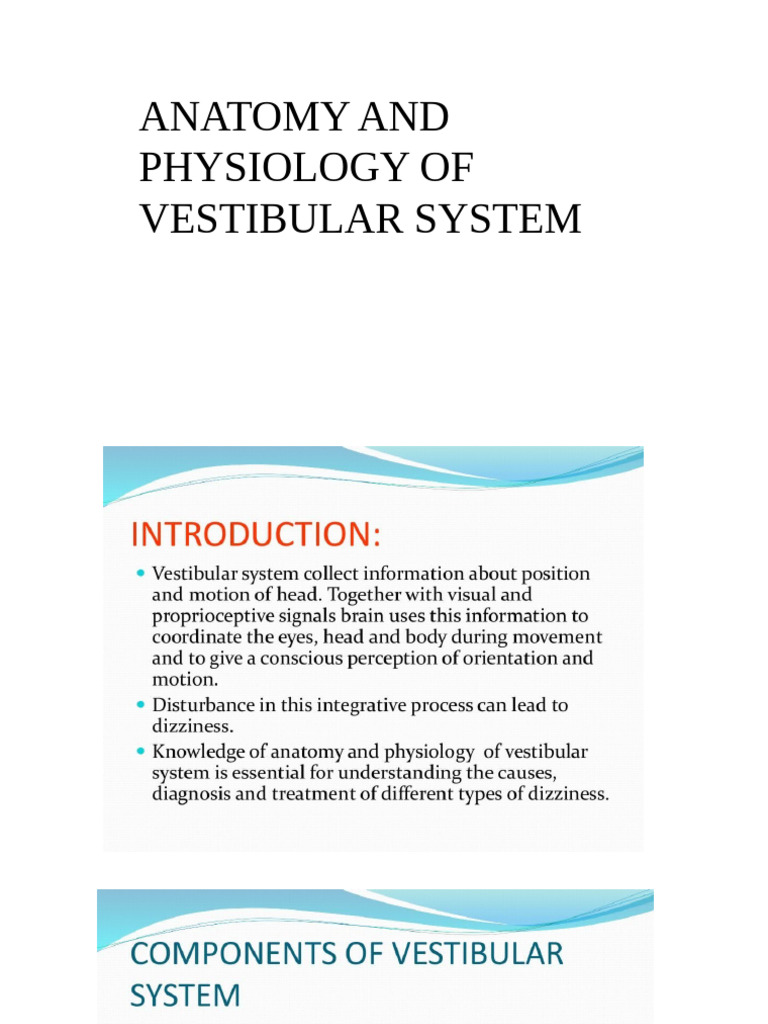 Anatomy and Physiology of Vestibular System1 | PDF