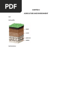 IGCSE EVM 0680 Detailed Notes | PDF | Rock (Geology) | Flood