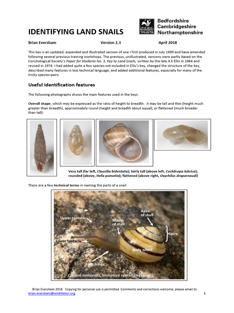 Land Snail Identification Guide | PDF | Molluscs