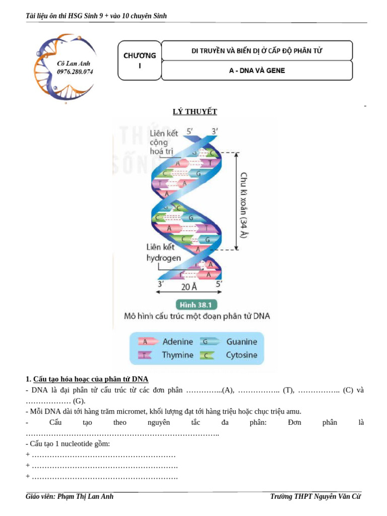 Chương I - DNA Và Gene | PDF