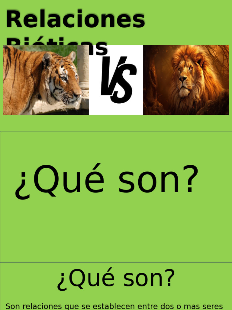 Cyt Expo 4to Bimetre (1) | PDF