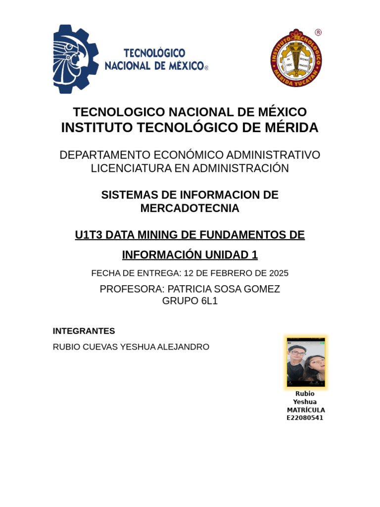 Introducción al Data Mining en Negocios | PDF | Procesamiento de datos ...