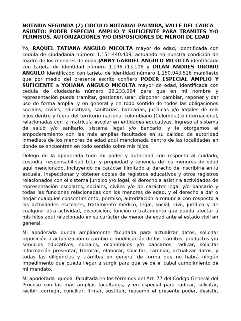 Poder Custodia Menor 0403 | PDF