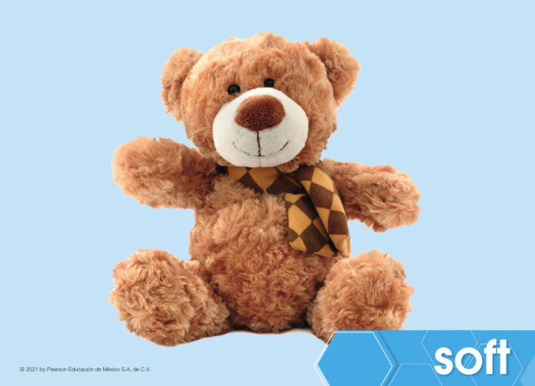 PS G2 U7 Flashcard Soft | PDF