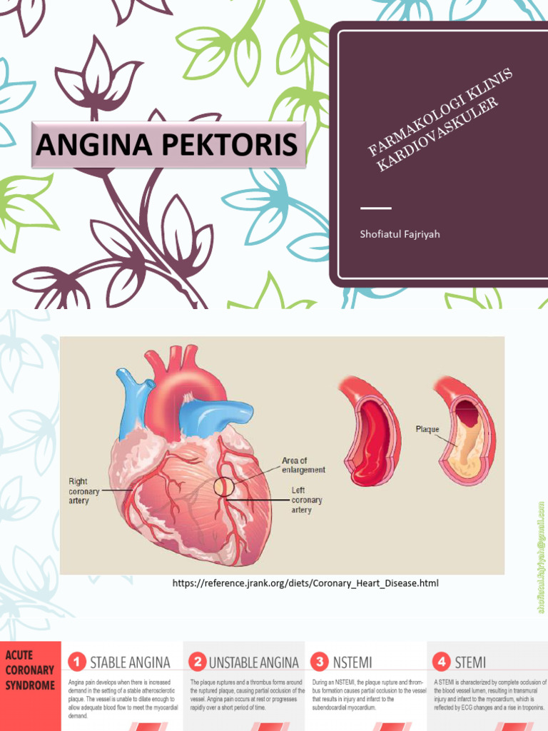 Farmakologiklinis - Kardiovaskular - Angina Pektoris - Shofi | PDF | Vasodilation | Coronary ...