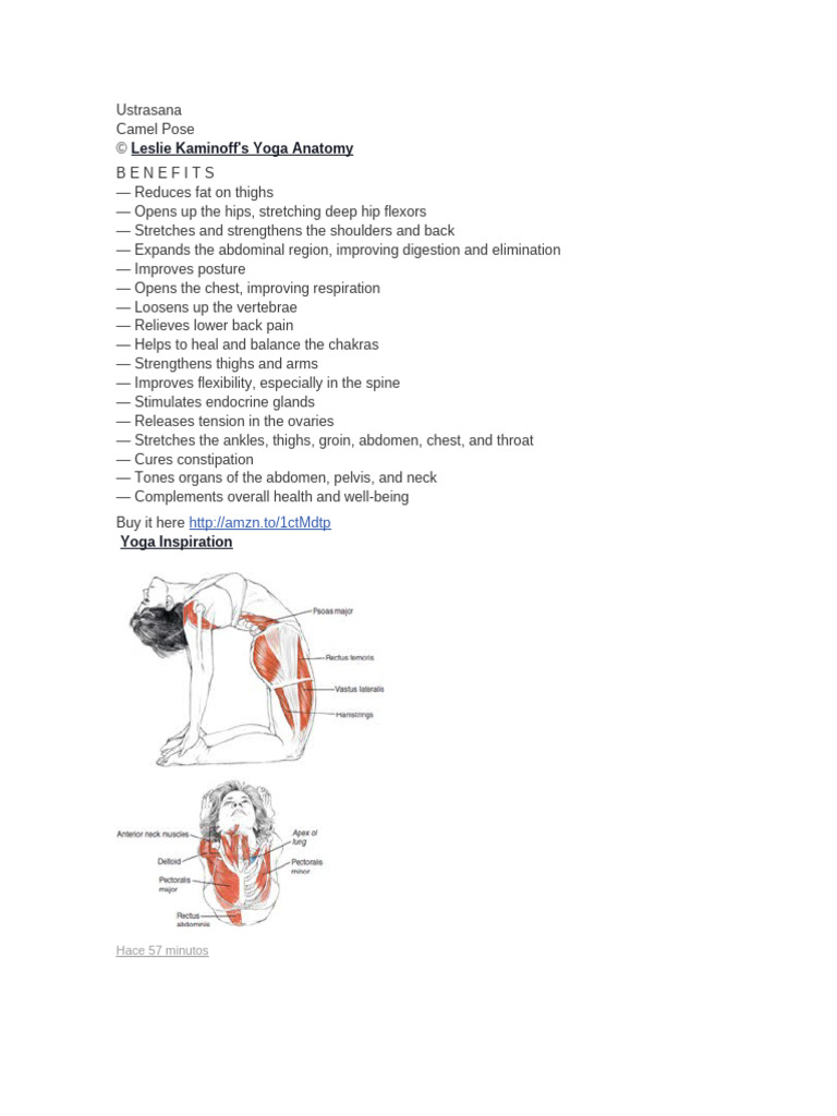 Ustrasana Benefits and Anatomy | PDF