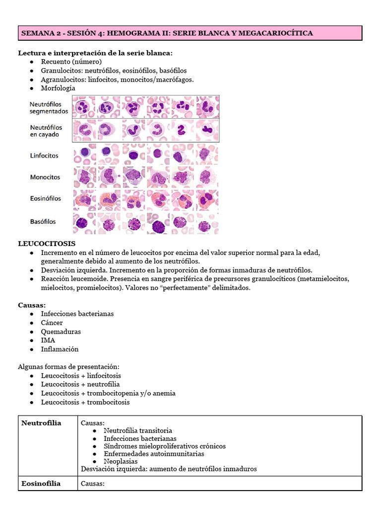 Diagnóstico Por Laboratorio - Sesion 4 | PDF | Leucocito | Especialidades Medicas