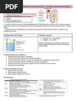 Valores Normales de Urea y Creatinina | PDF | Relaciones personales ...