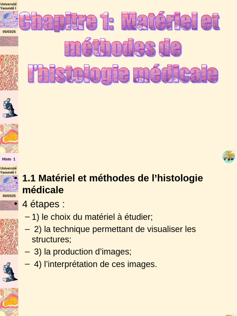 Classification des tissus humains | PDF | Épithélium | Tissu biologique