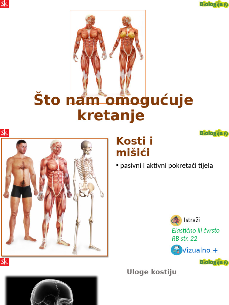 Sto Nam Omogucuje Kretanje BIOLOGIJA 7 | PDF