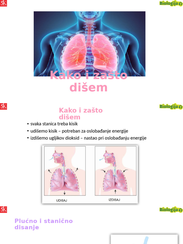 Kako I Zasto Disem BIOLOGIJA 7 | PDF