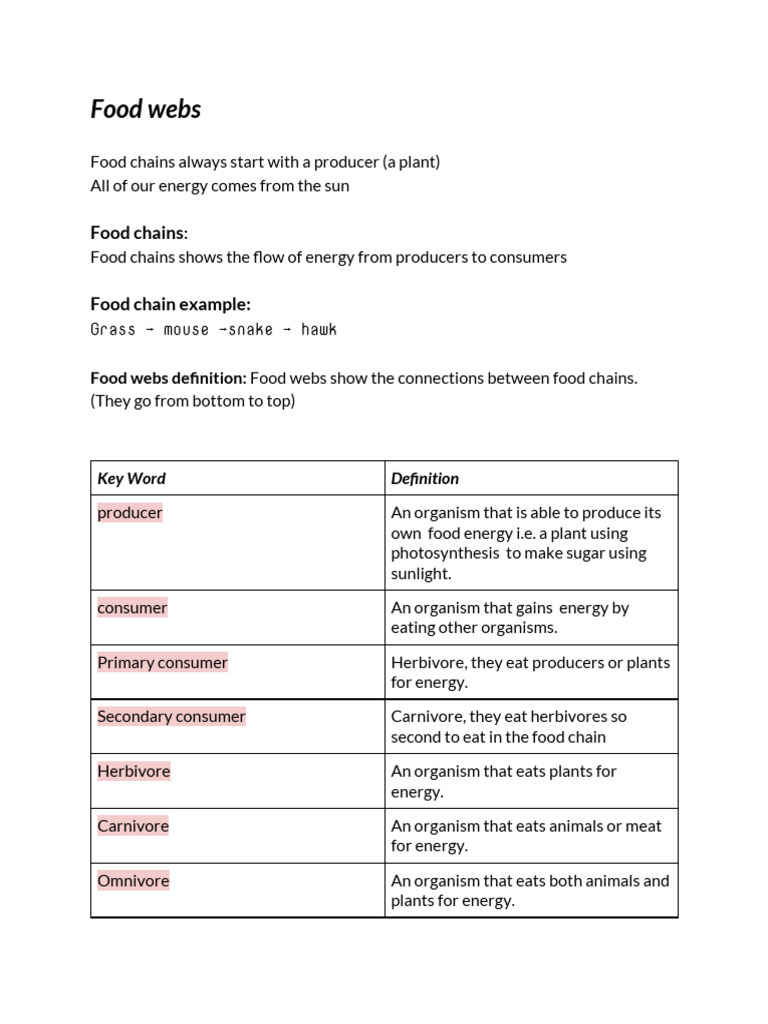 Understanding Food Chains and Webs | PDF