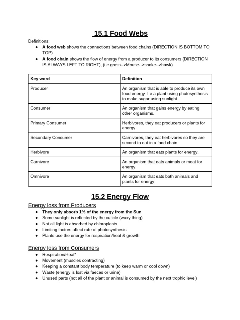 Understanding Food Webs and Energy Flow | PDF | Photosynthesis | Seed