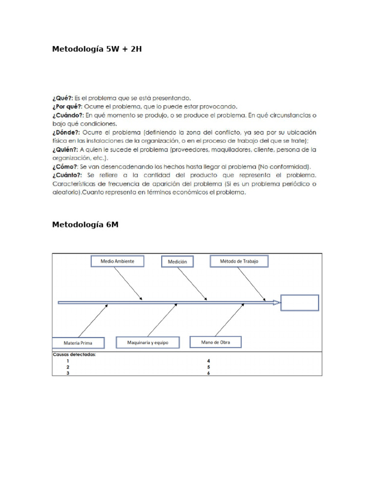 Metodología 5W | PDF