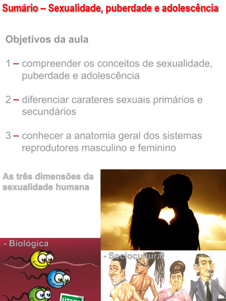3 - Sexualidade, Puberdade e Adolescência | PDF | Sistema reprodutivo ...