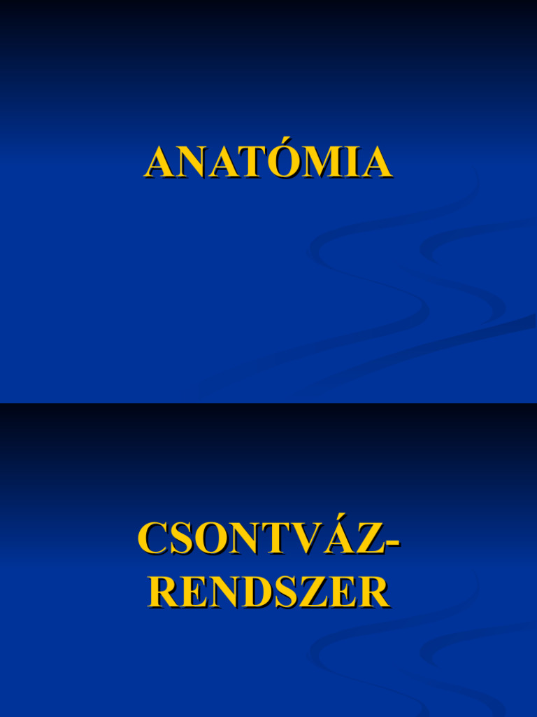 Anatómia (Csonttan) | PDF