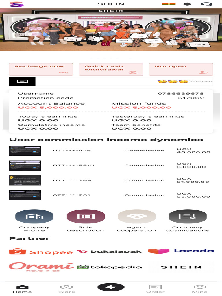 Shein Affiliate Earnings Overview | PDF