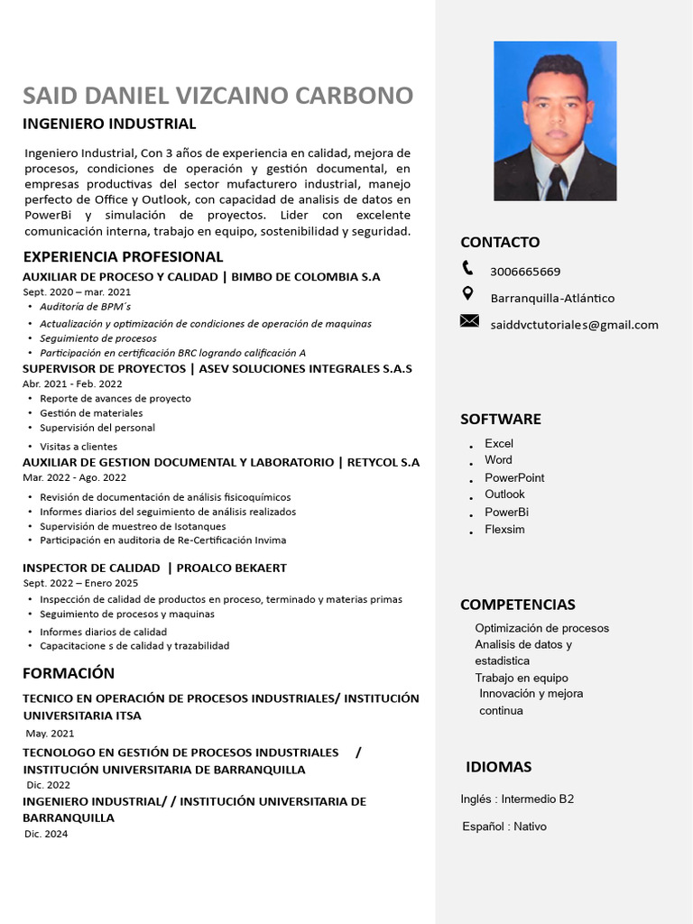 HV Said Daniel Vizcaino Carbono | PDF | Ingeniería Industrial | Business