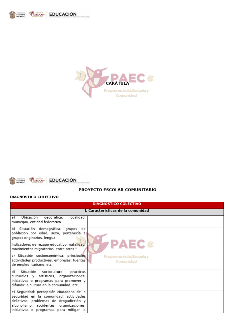 Formato Oficial para El Desarrollo Del Pec | PDF | Plan de estudios