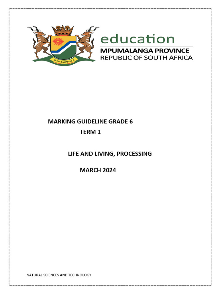 Grade 6 Natural Science Marking Guide | PDF | Foods | Ecosystem