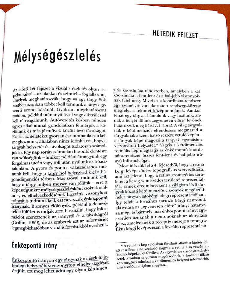 Észlelés - 7.fejezet | PDF