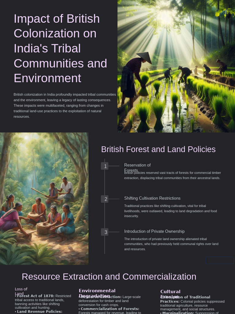 Impact of British Colonization On Indias Tribal Communities and ...