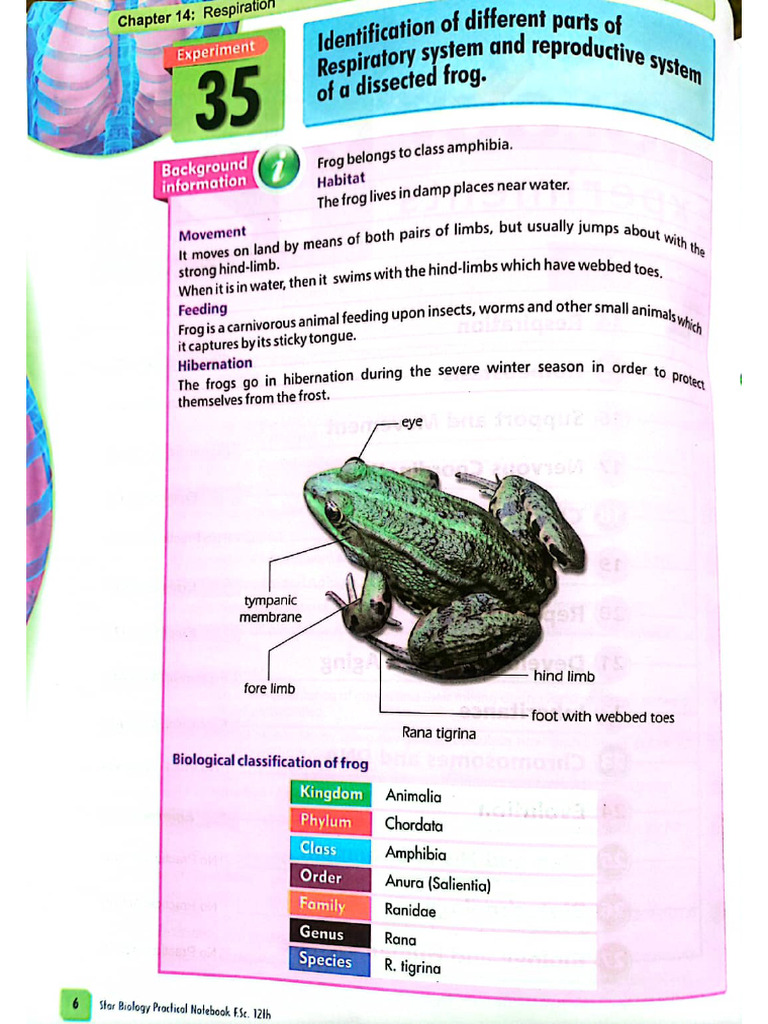 Practicals Section B | PDF